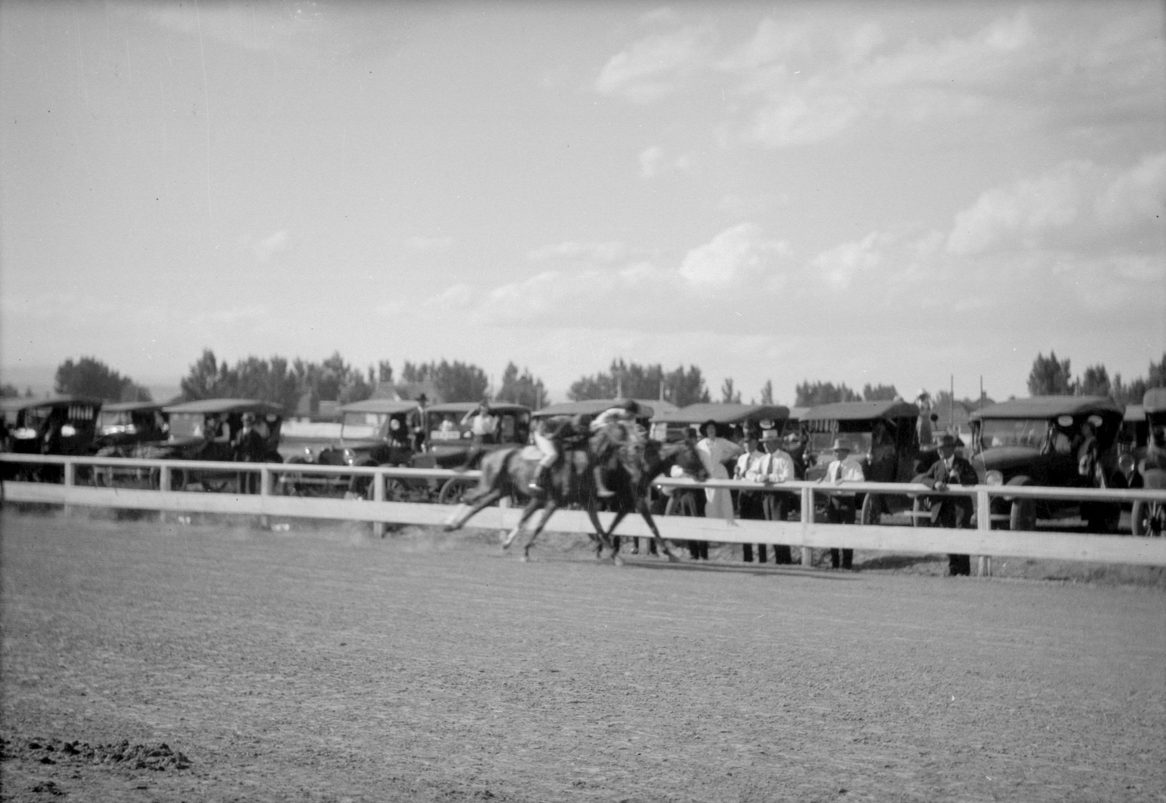 Agricultural Roots: Boulder County Fair - Images