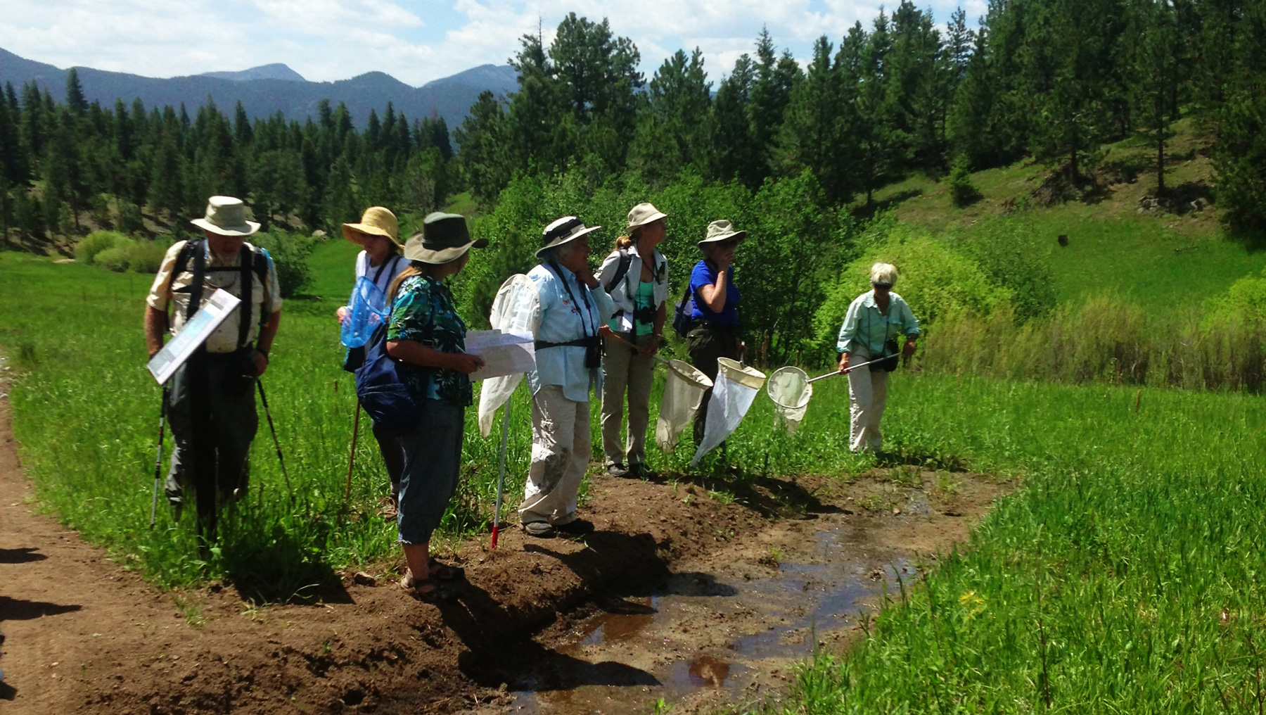 Volunteer Naturalists - Sharing Nature - Images