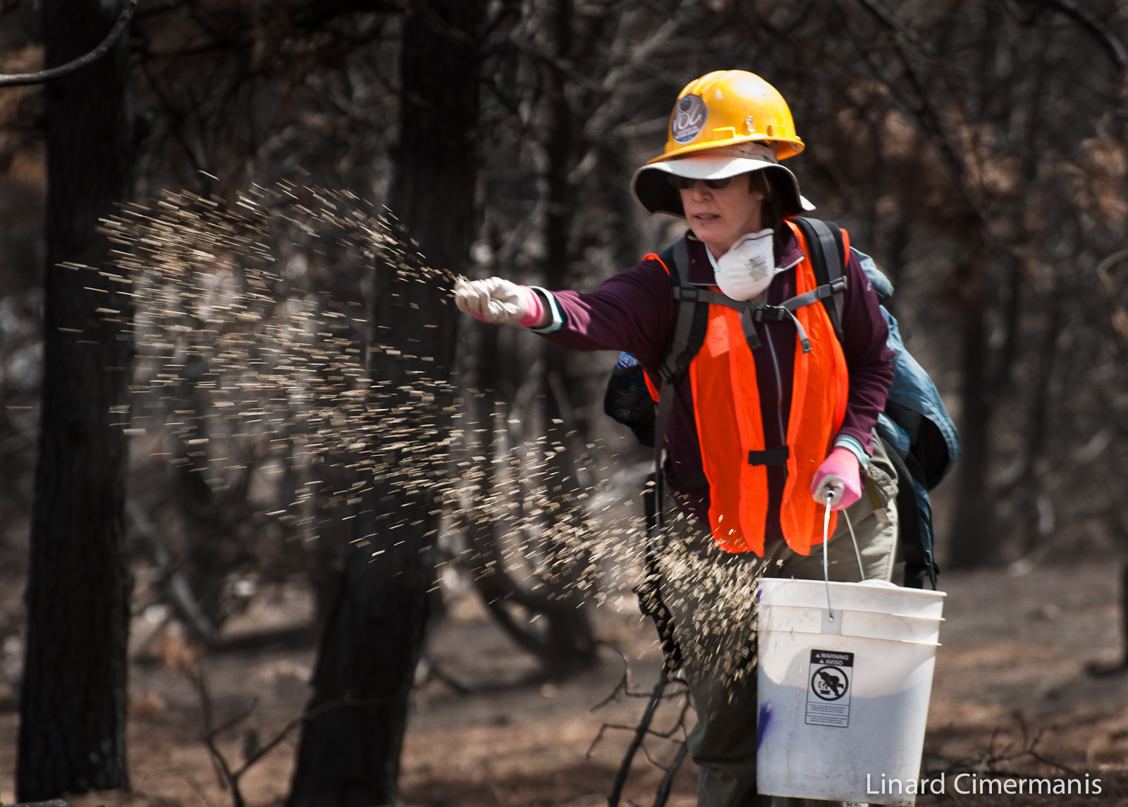 Seed to Seed: 20 Years of a Native Seed Program - Images