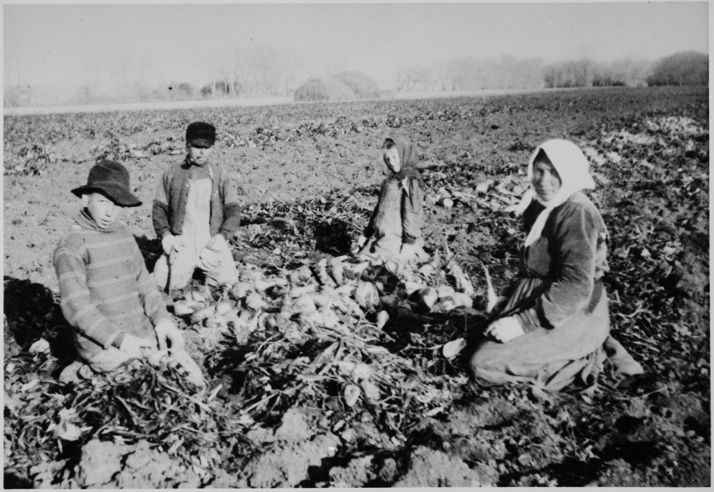 German Russians: Land for Eternal Time - Images