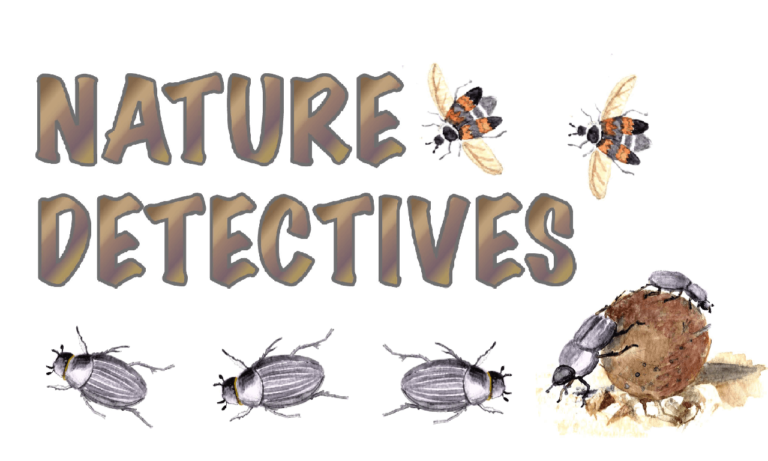 Nature Detectives - Images