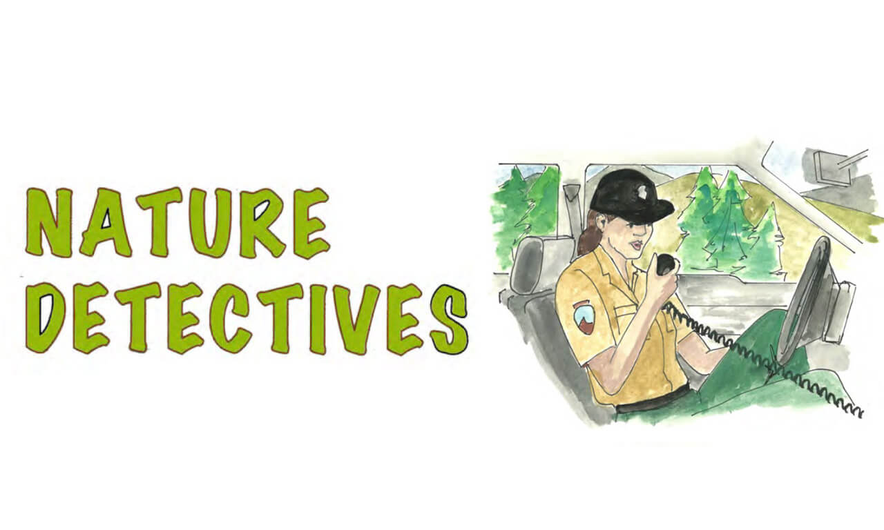 Park Ranger on Patrol - Images