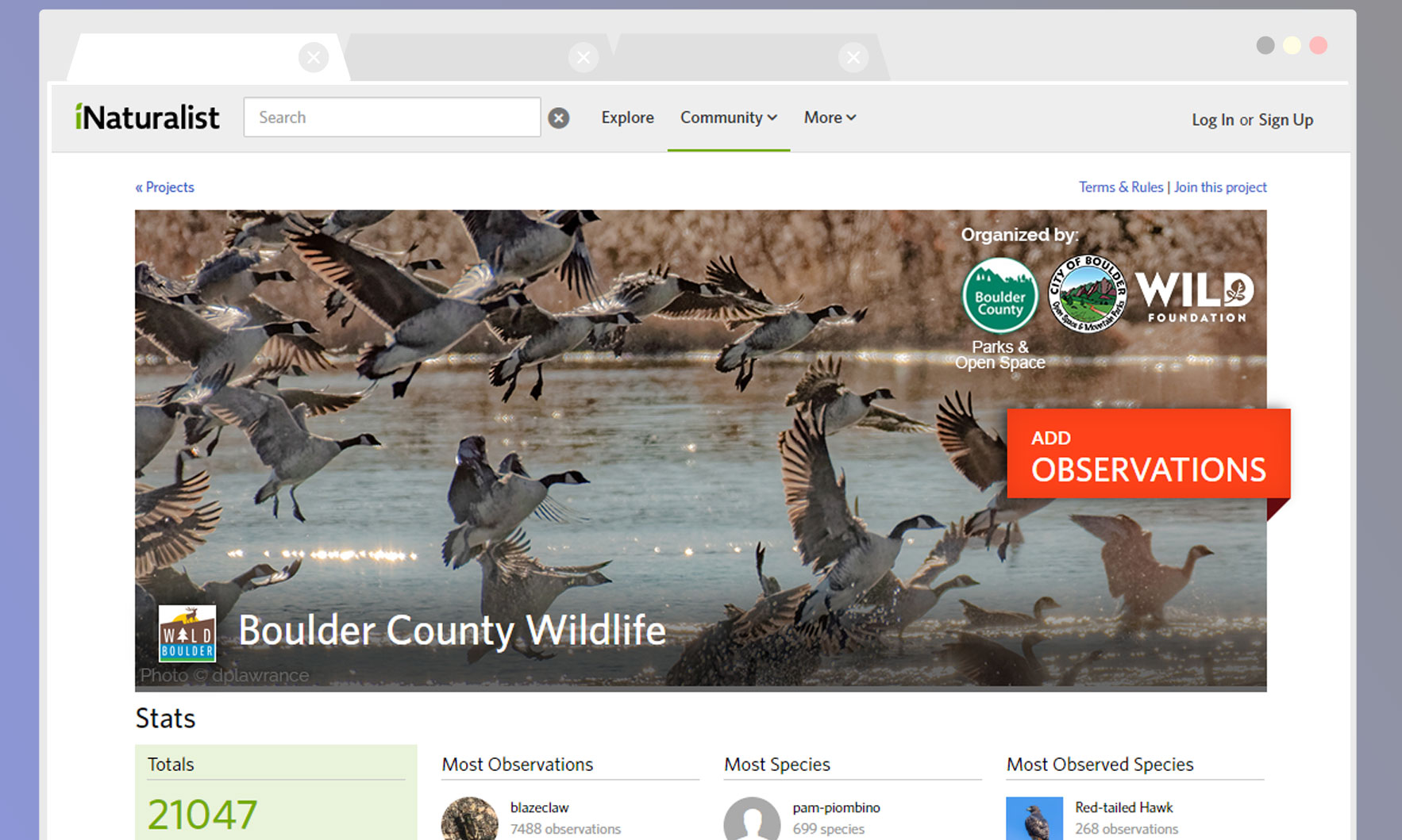Capturing Wildlife: iNaturalist Style - Images