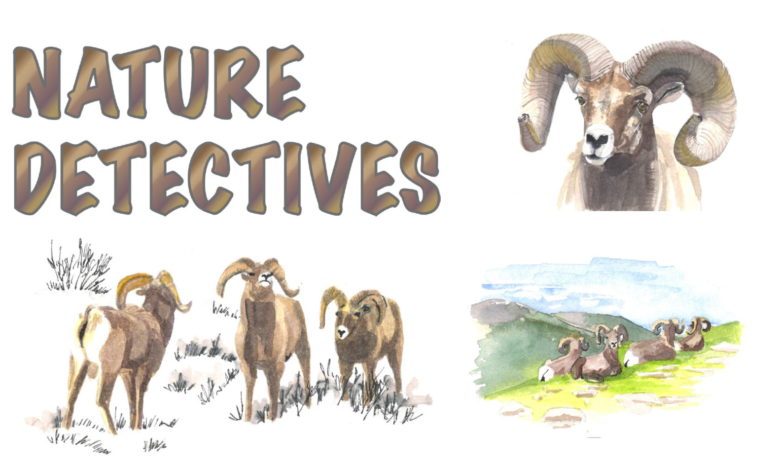 Nature Detectives - Images