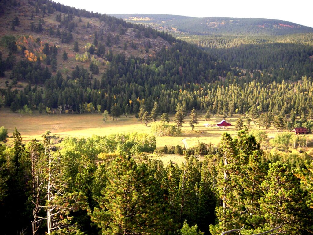 Fire Regimes of Life Zones in Boulder County - Images