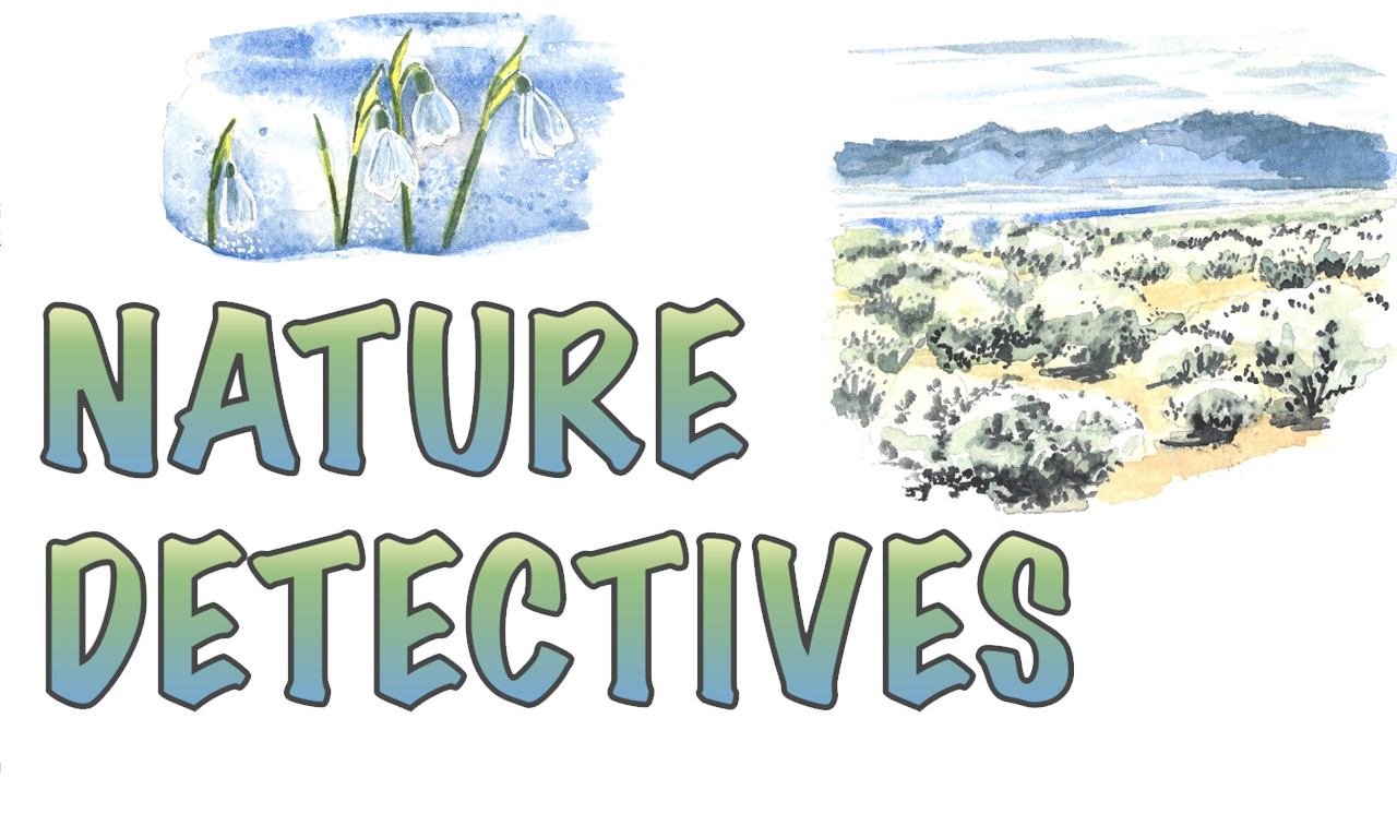 Native Plants Wake Up! - Images