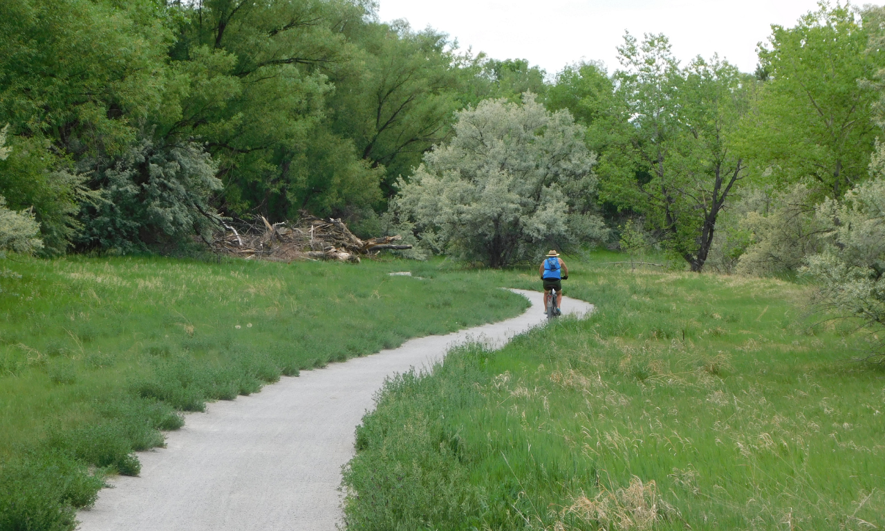 Understanding our Regional and Neighborhood Trail Visitors - Images
