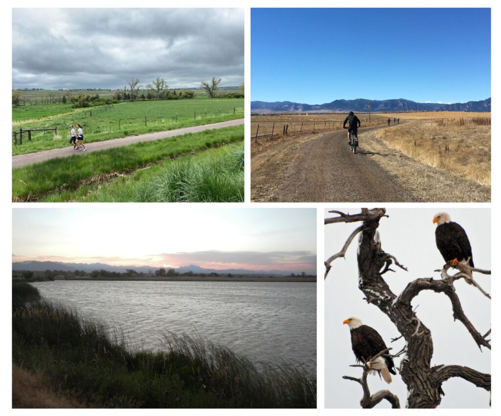 Shaping the Land - Images