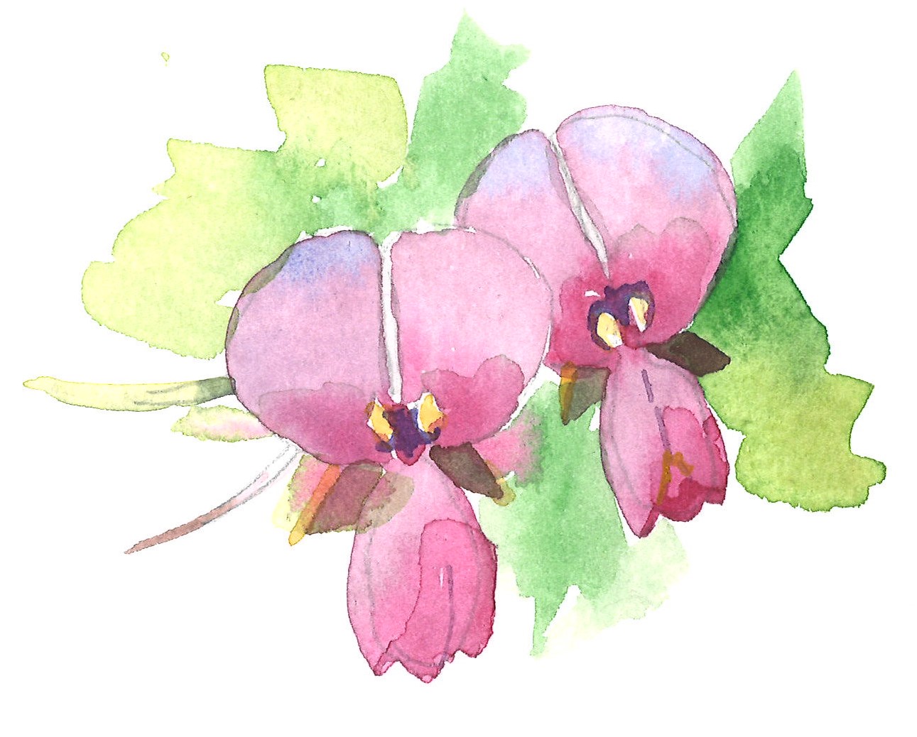 Please Pass the Peas! - Images